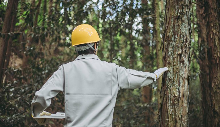 About ASBRF – Alabama State Board of Registration for Foresters