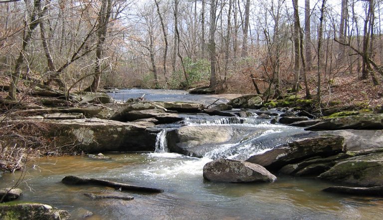 About ASBRF – Alabama State Board of Registration for Foresters